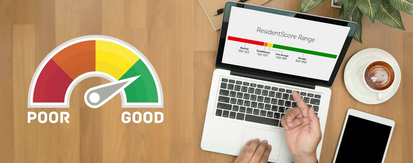 How to Check a Tenant's Credit [What to Look for When Running a Credit ...