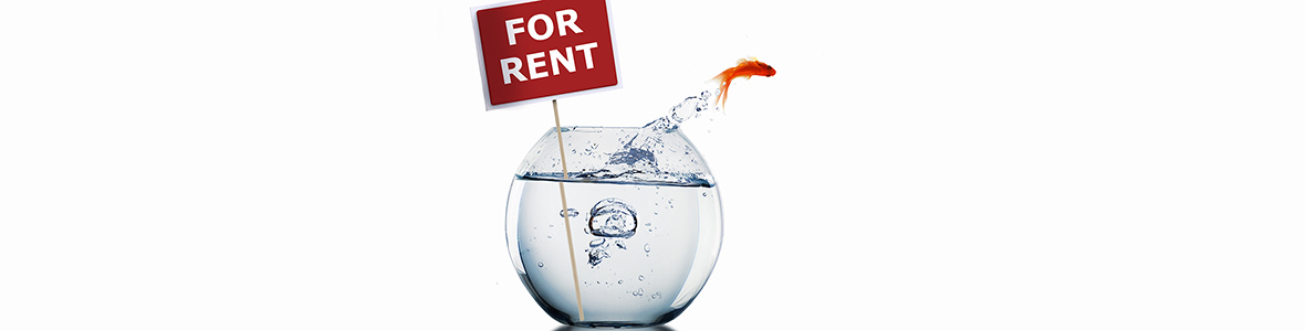 How To Keep Good Tenants: 7 Tips To Keep Them From Leaving | SmartMove